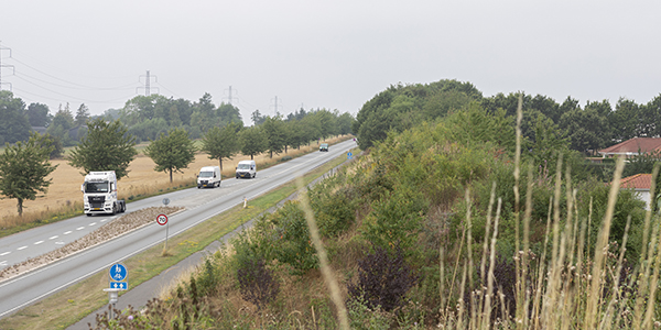 Vild natur på støjvold giver mere biodiversitet - DAB